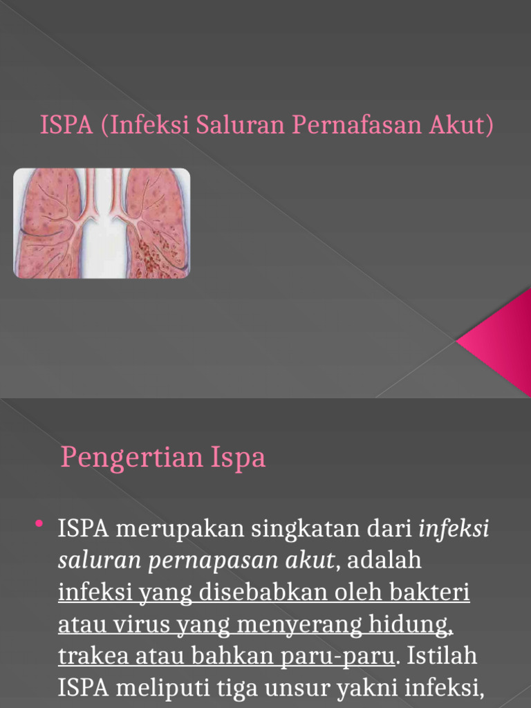 PPT-ISPA Jeki | PDF