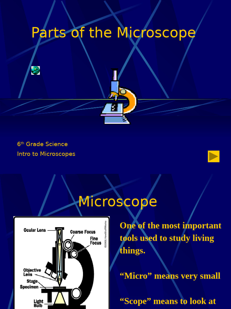 Microscopes Parts and How To Use | PDF | Microscopy | Glass Applications