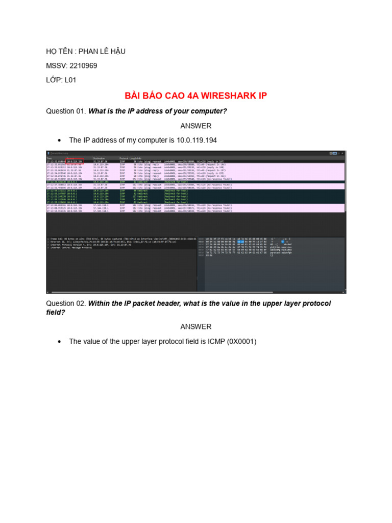 2210969_PhanLeHau_lab4a | PDF | Internet Protocols | Telecommunications Standards