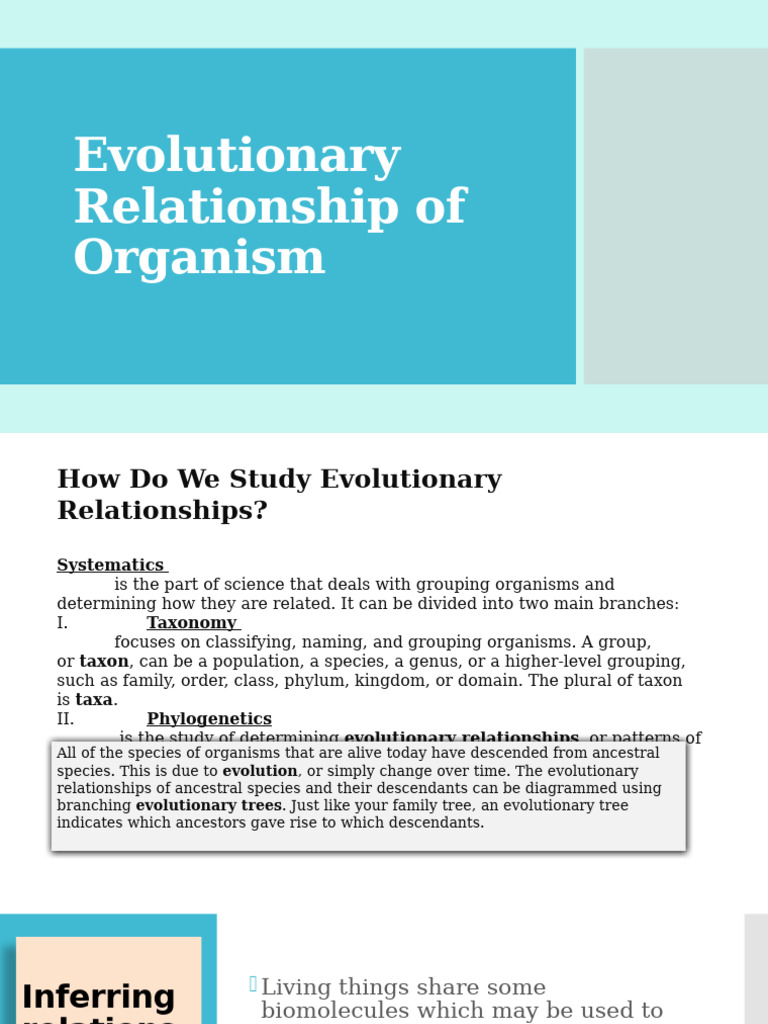 Report Gen Bio | PDF | Phylogenetic Tree | Evolution