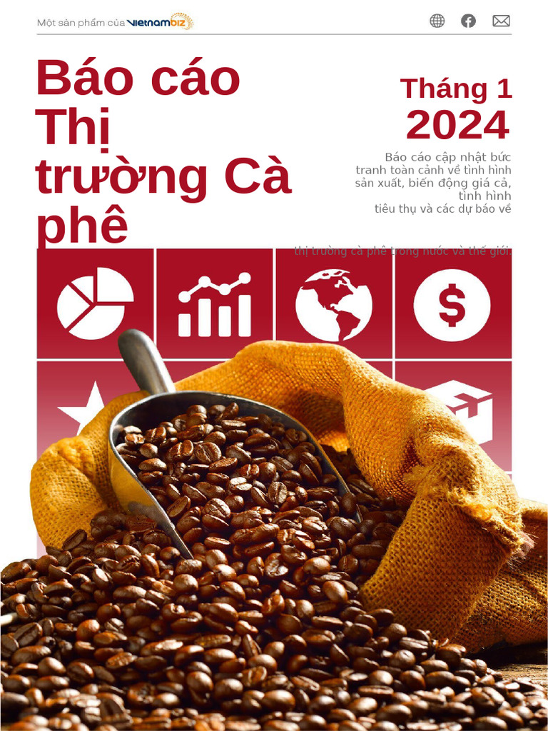Bao Cao Thi Truong Ca Phe Thang 1 2024 20240303235847509 | PDF