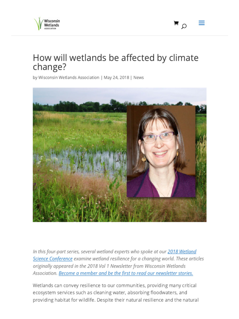 Climate Change Impacts on Wetlands | PDF | Wetland | Ecological Resilience
