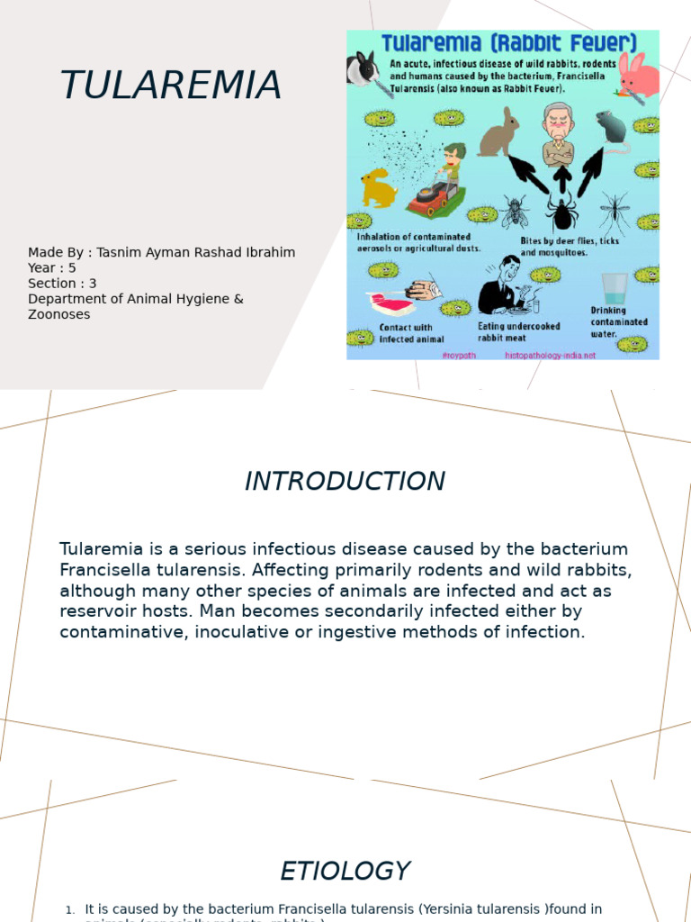 Tularemia Tasnim Ayman | PDF