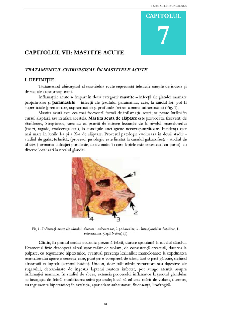 MASTITA | PDF