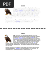 Eagle | PDF