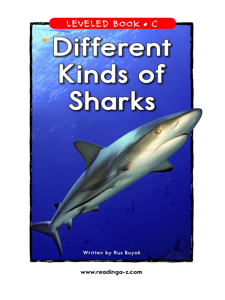 Different Kinds of Sharks | PDF