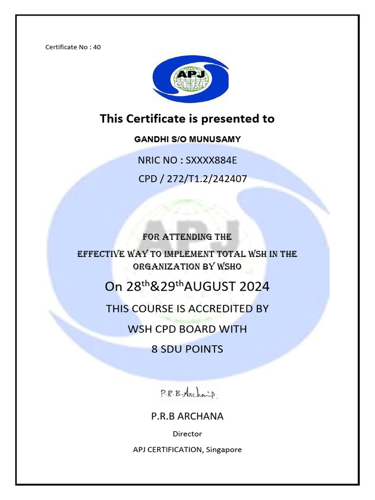 Effective Way To Implement TotaL WSH | PDF
