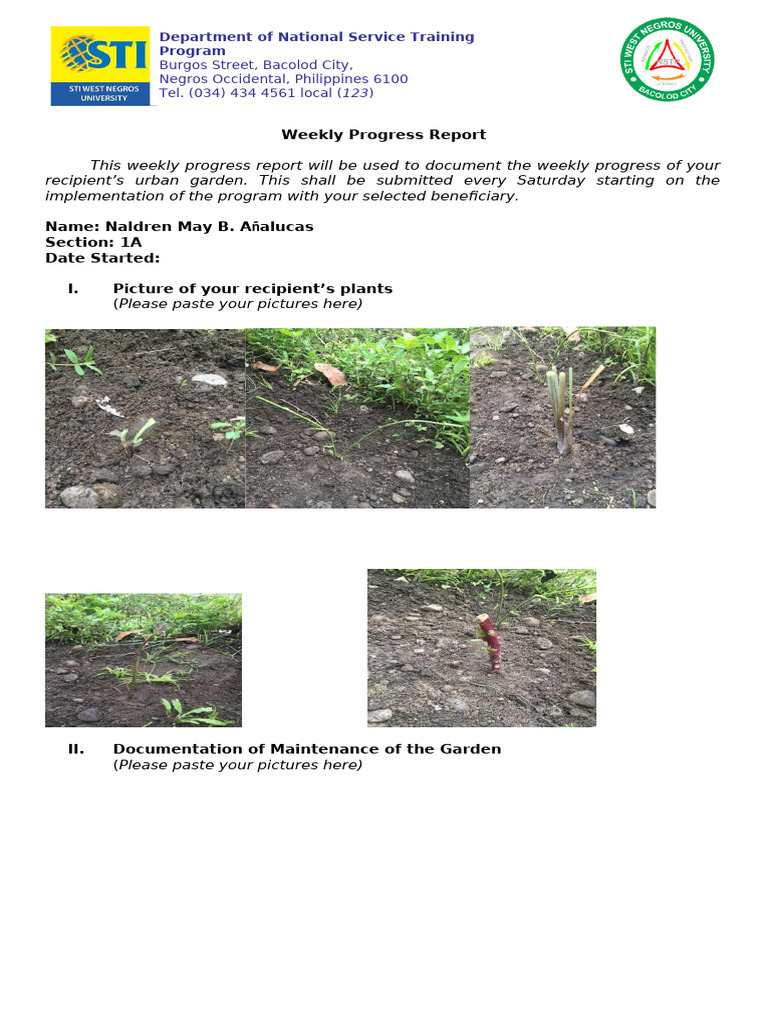 NSTP-2-Weekly-Progress-Report_Analucas | PDF
