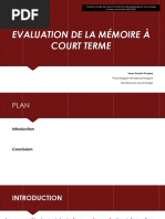 Test de Stroop Victoria : Guide d'utilisation | PDF | Attention | Vert
