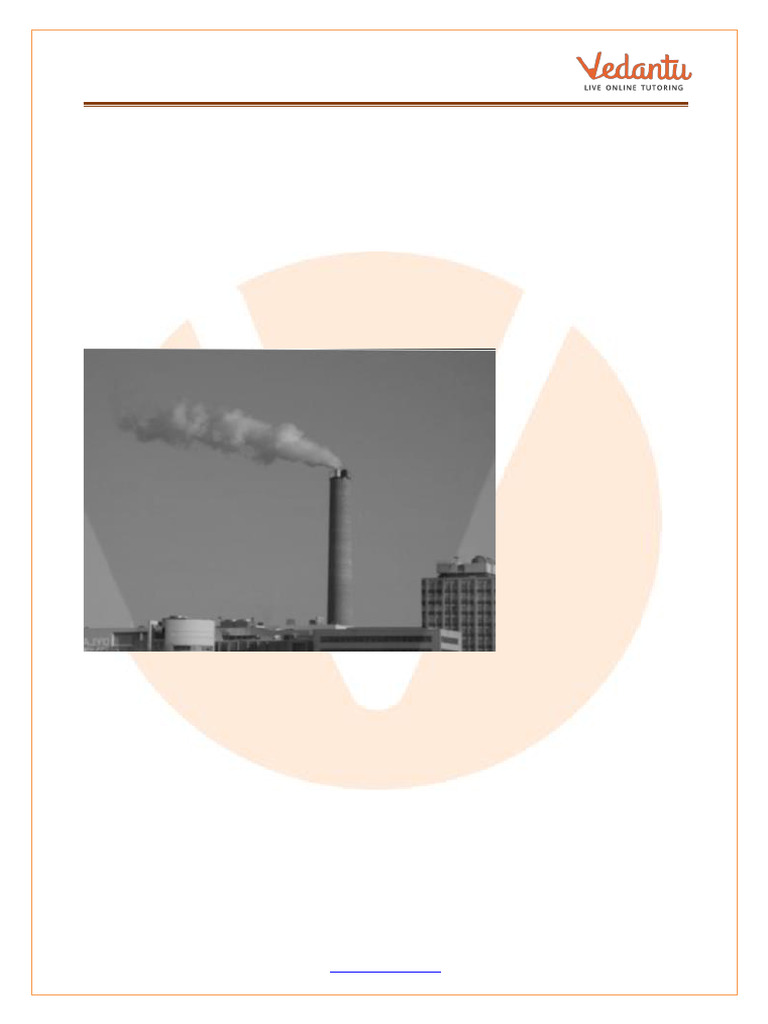 Class 12 Biology: Environmental Issues | PDF | Ozone Depletion ...