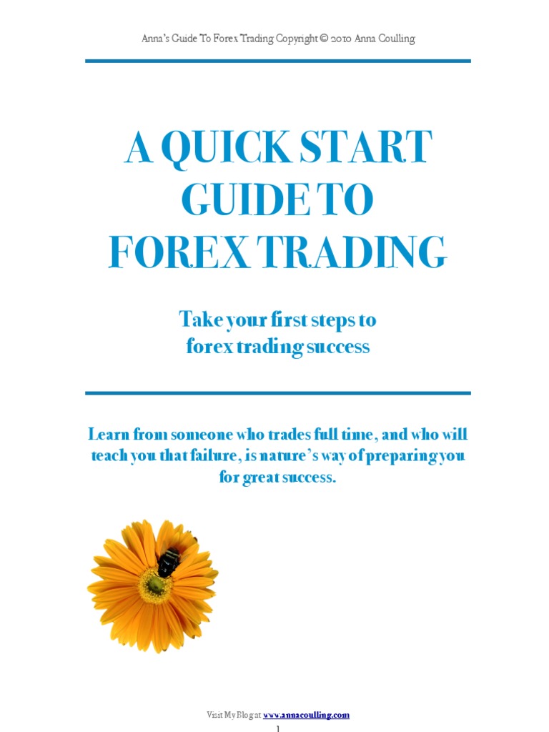 VSA Anna Couling | PDF | Foreign Exchange Market | Exchange Rate