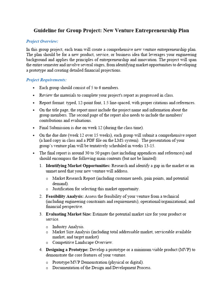 New Venture Entrepreneurship Plan Guide | PDF | Business Model | Marketing