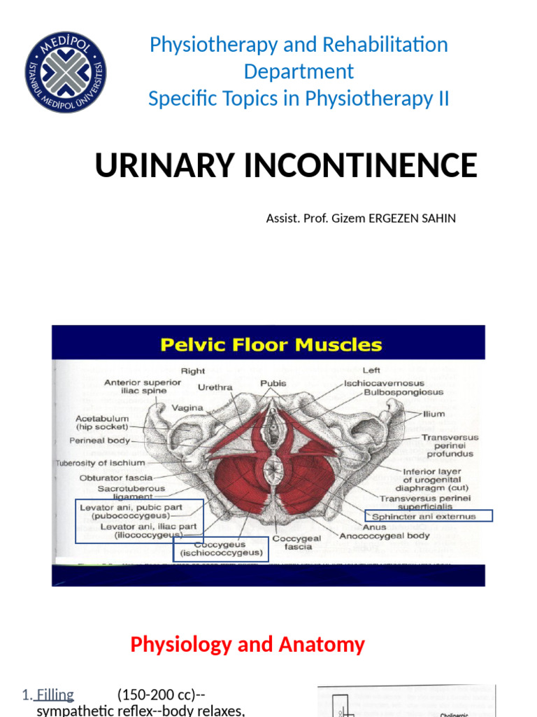 Understanding Urinary Incontinence | PDF | Urinary Incontinence | Urination