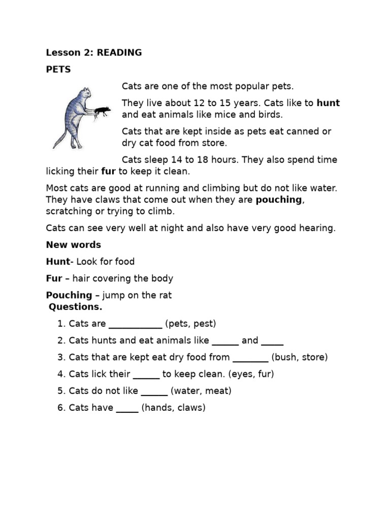 Y2 LESSON 2 READING | PDF
