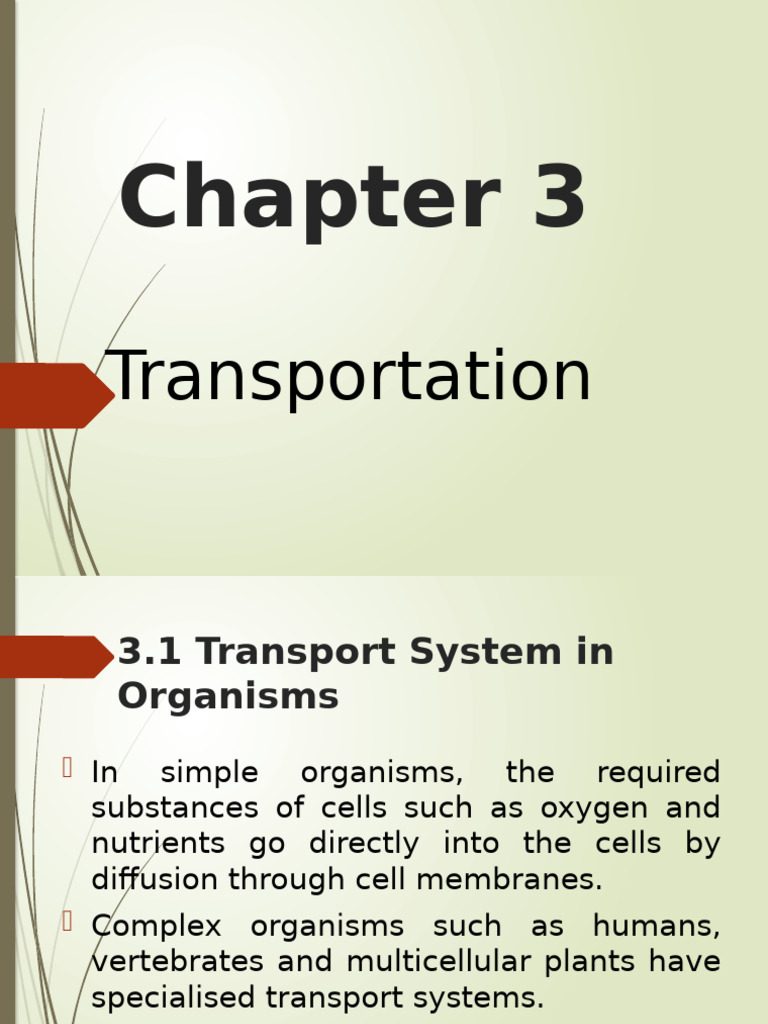 Transportation CHP 3 | PDF | Heart | Heart Valve