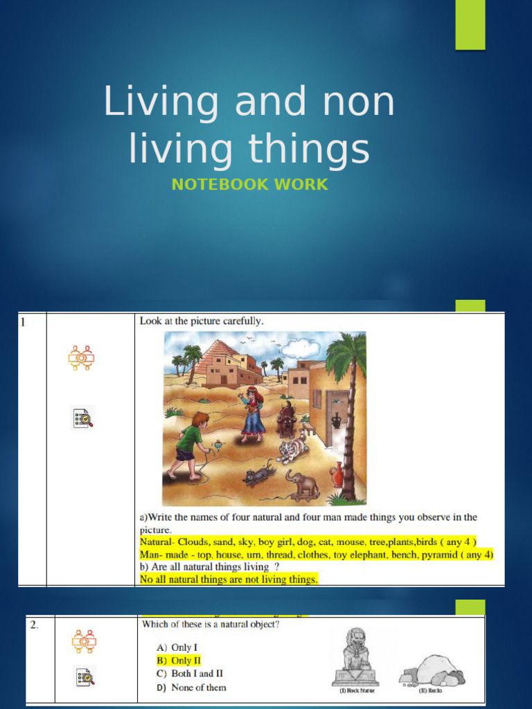 Science NB Work Grade 3 | PDF