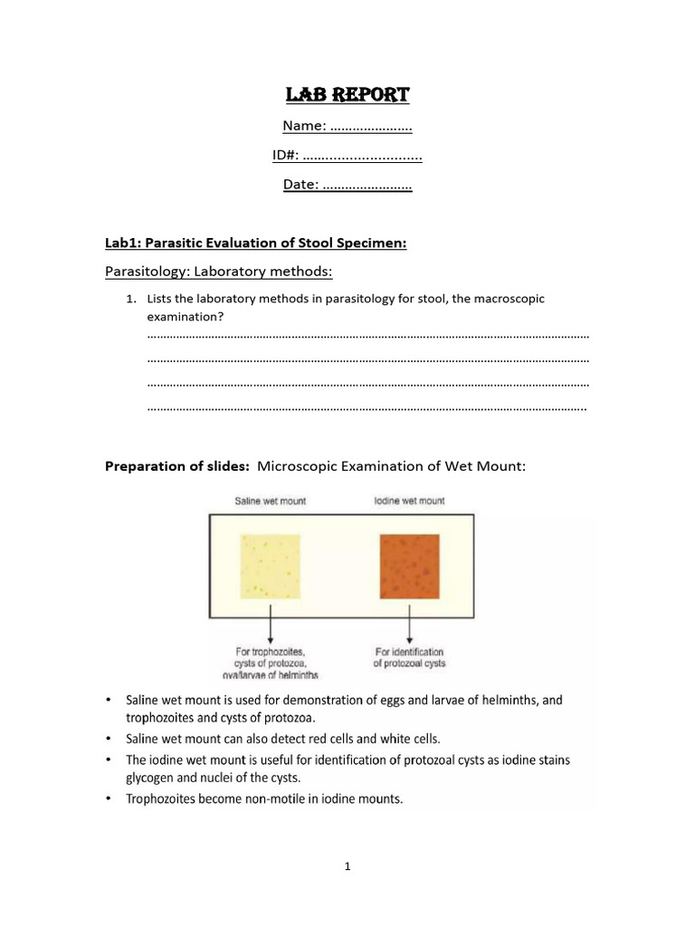 lab report(1)-1 weE | PDF | Plasmodium | Malaria