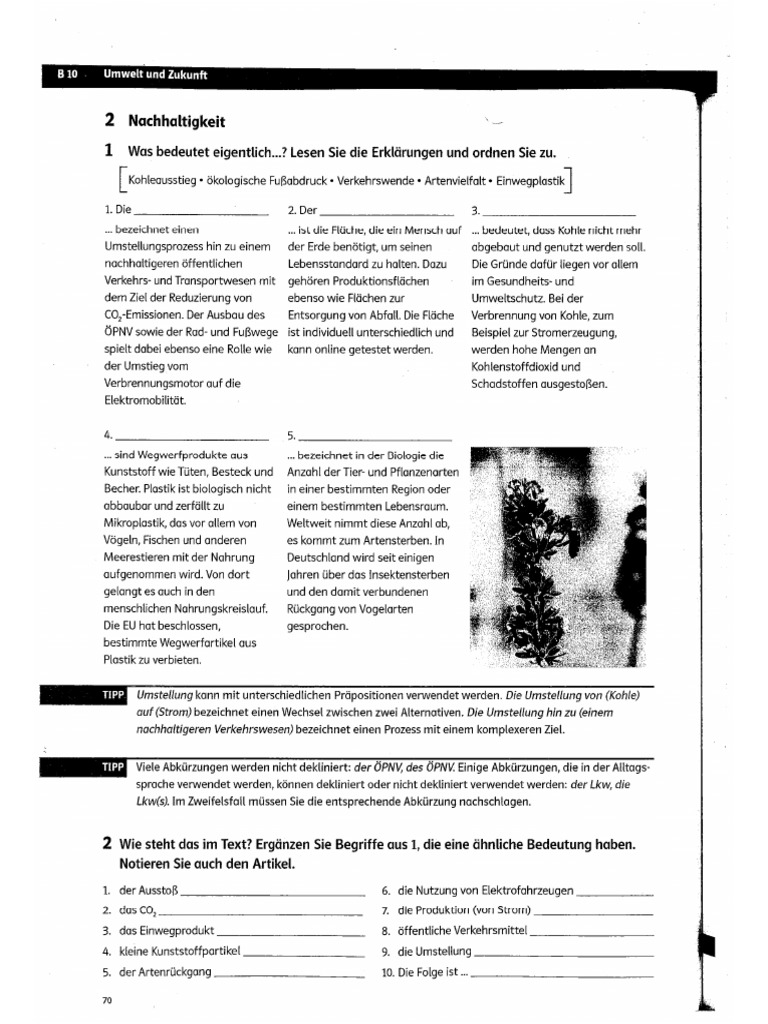 Wortschatz Zum Thema UMWELT | PDF