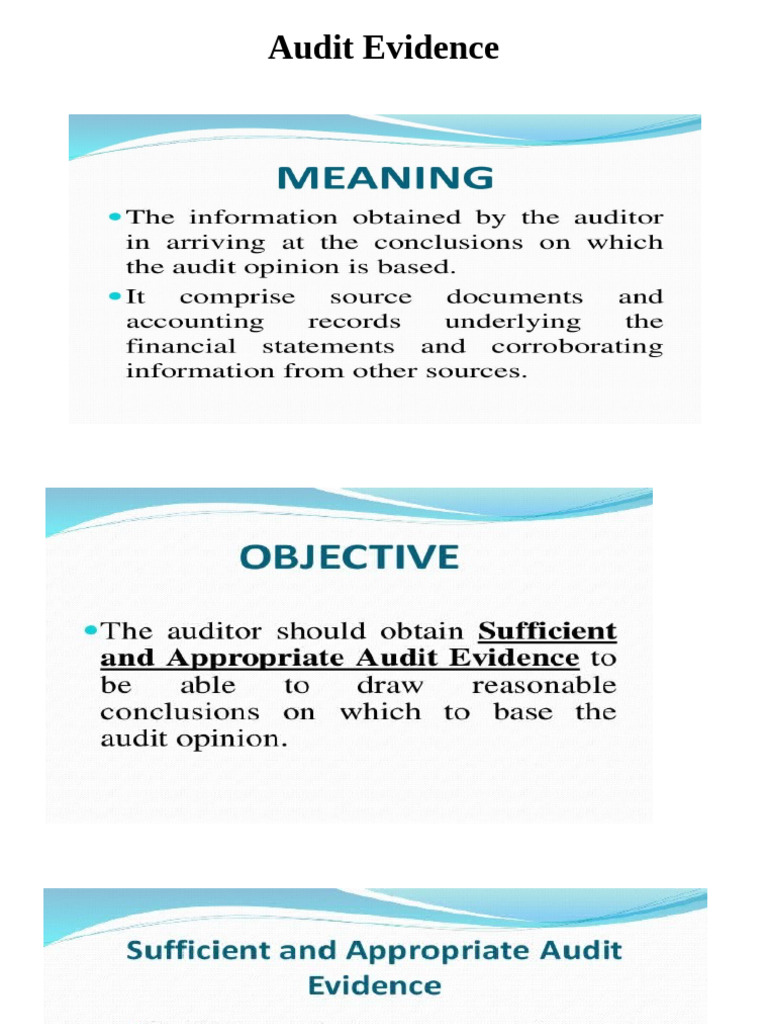 Audit Evidence | PDF