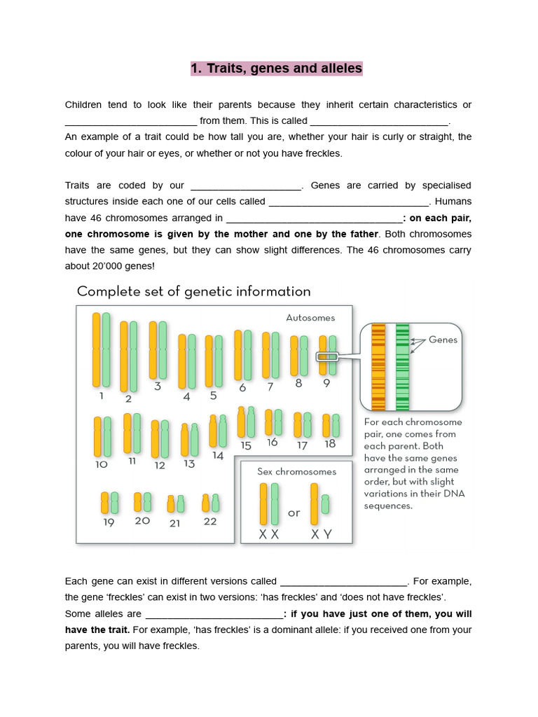 Traits, Genes and Alleles-2 | PDF