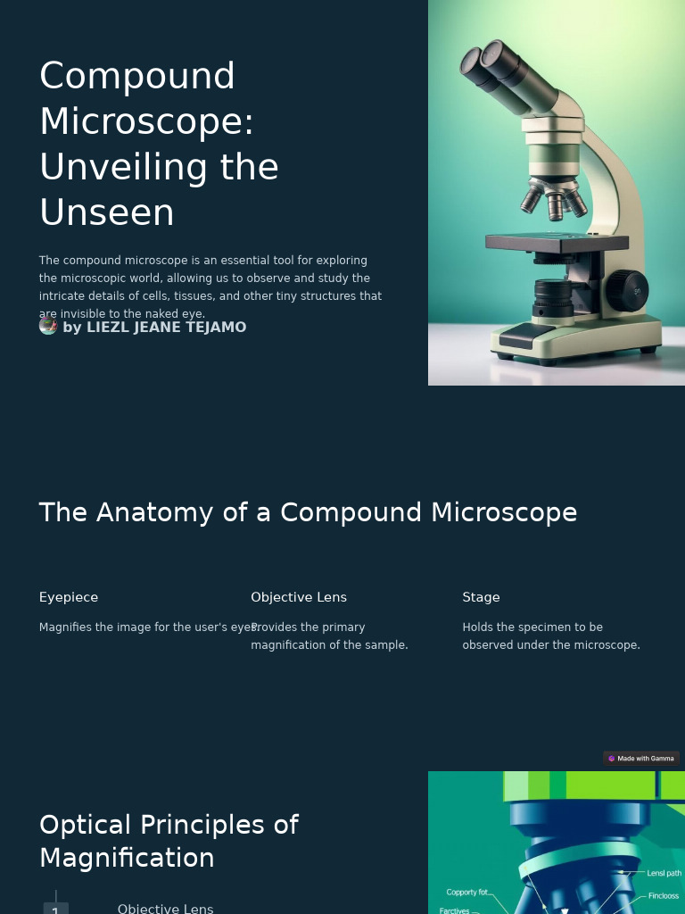 Compound Microscope Unveiling The Unseen | PDF | Microscope ...