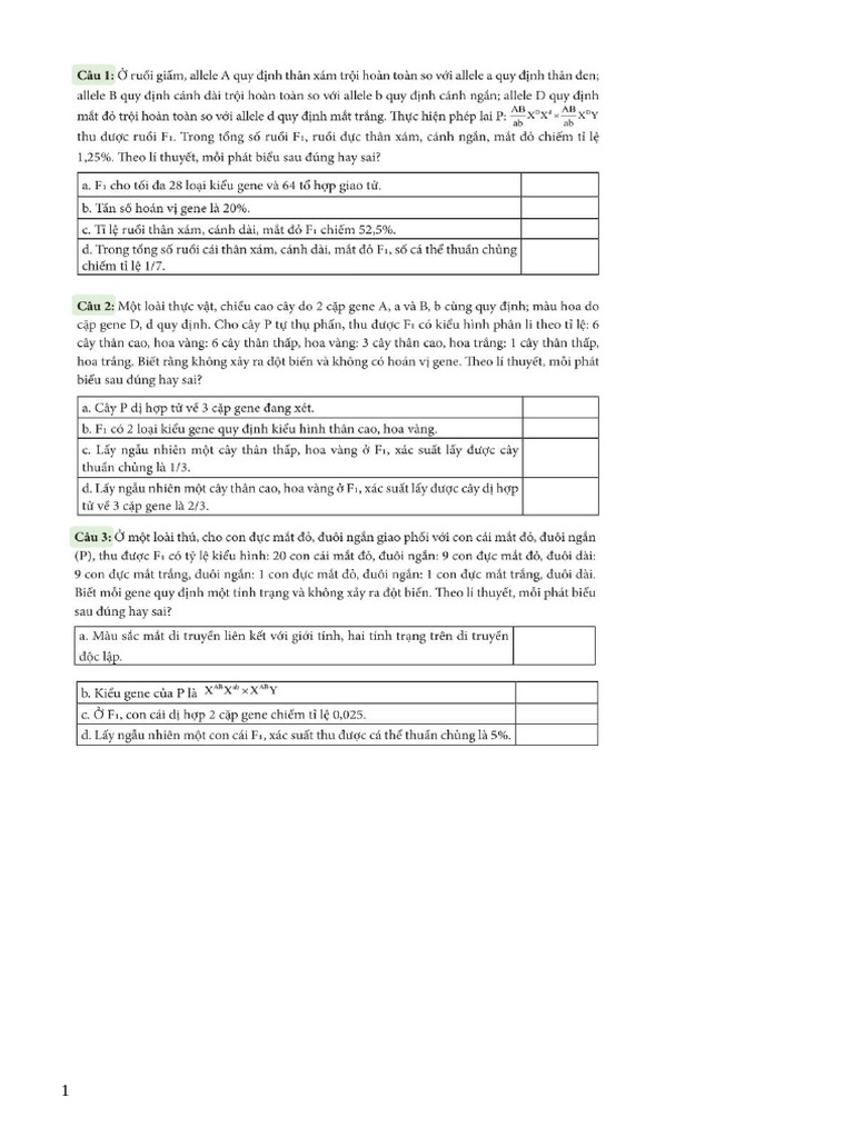 10 Câu QLDT ÔN | PDF