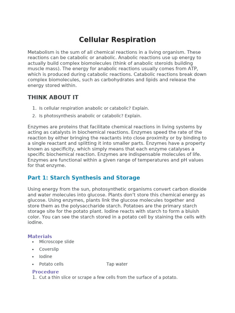 Understanding Cellular Respiration Processes | PDF | Starch | Fermentation