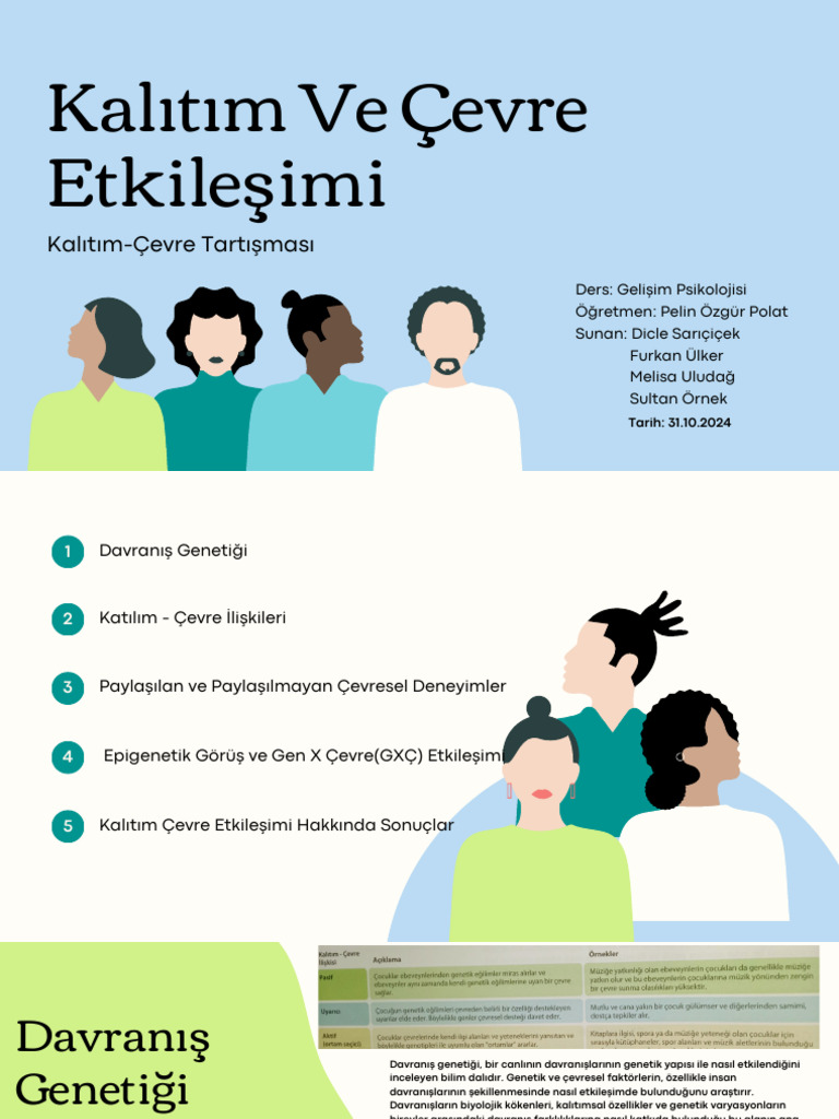 Gelişim Psikolojisi - Sunum | PDF
