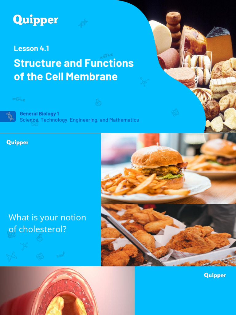 1.1 Structure and Functions of the Cell Membrane | PDF | Cell Membrane ... 1.1 Structure and Functions of the Cell Membrane | PDF | Cell Membrane ...