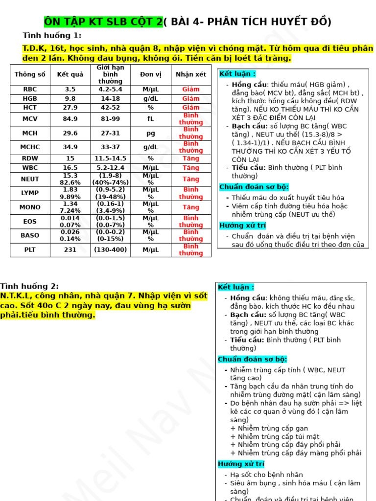 Ôn Tập Kt Slb-th- Cột 2 | PDF