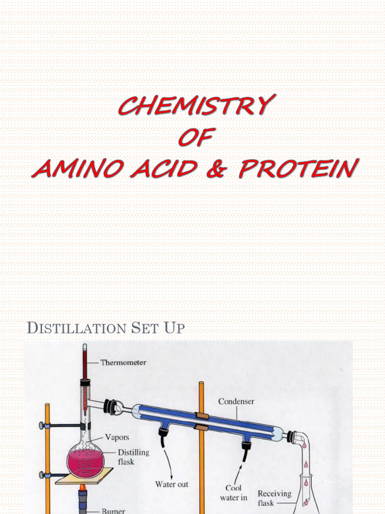 Amino Acids and Protein | PDF | Protein Structure | Amino Acid