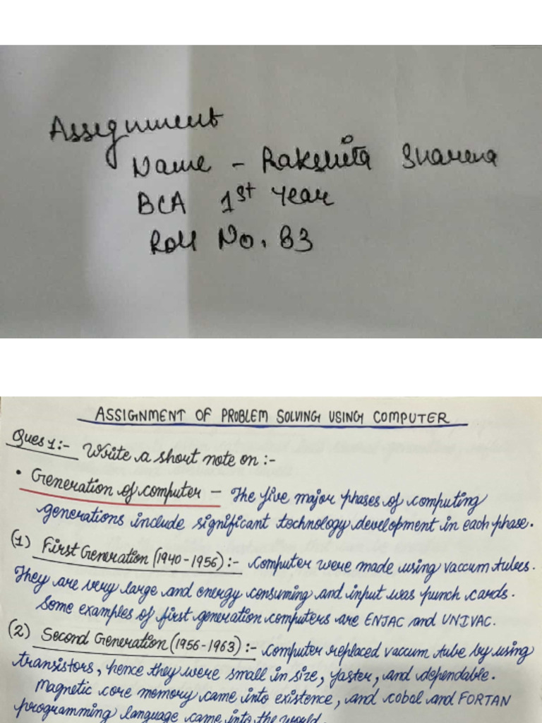 Problem Solving Using Computer Assignment | PDF