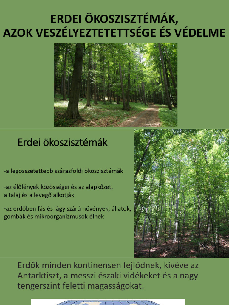 Erdei Okoszisztemak | PDF
