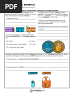 Amoeba Sisters: Alleles and Genes Recap | PDF | Genotype | Allele