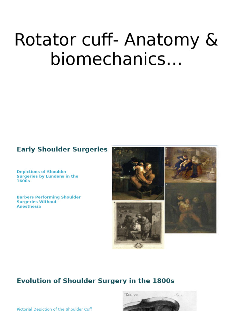 Rotator Cuff | PDF | Shoulder | Musculoskeletal System