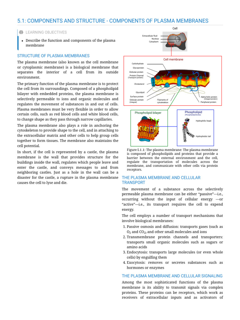 5.1 - Components and Structure - Components of Plasma Membranes ...