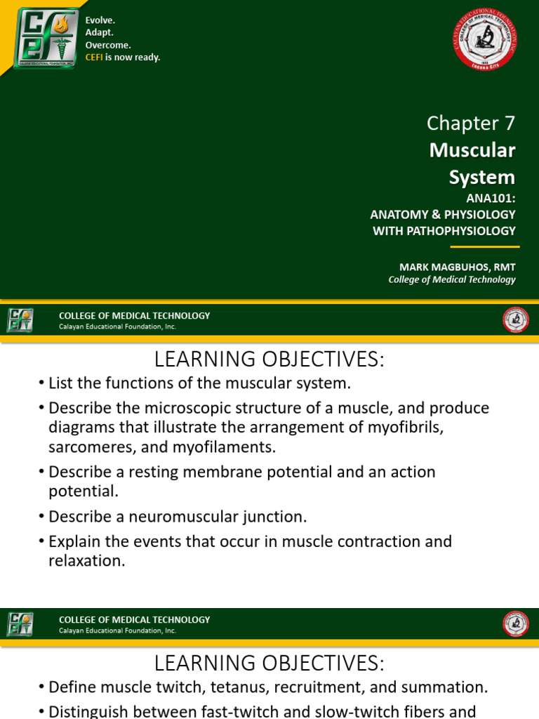 Apl8gvhp5 - Chapter 7 - Muscular System | PDF | Chemical Synapse ...
