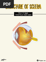 Cow Eye Dissection Lab Report | PDF | Eye | Human Eye
