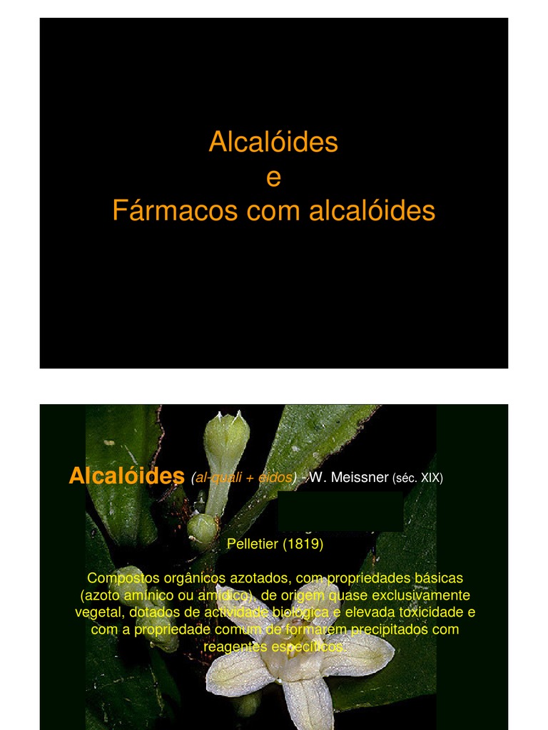 Alcaloides: Propriedades e Aplicações Terapêuticas | PDF