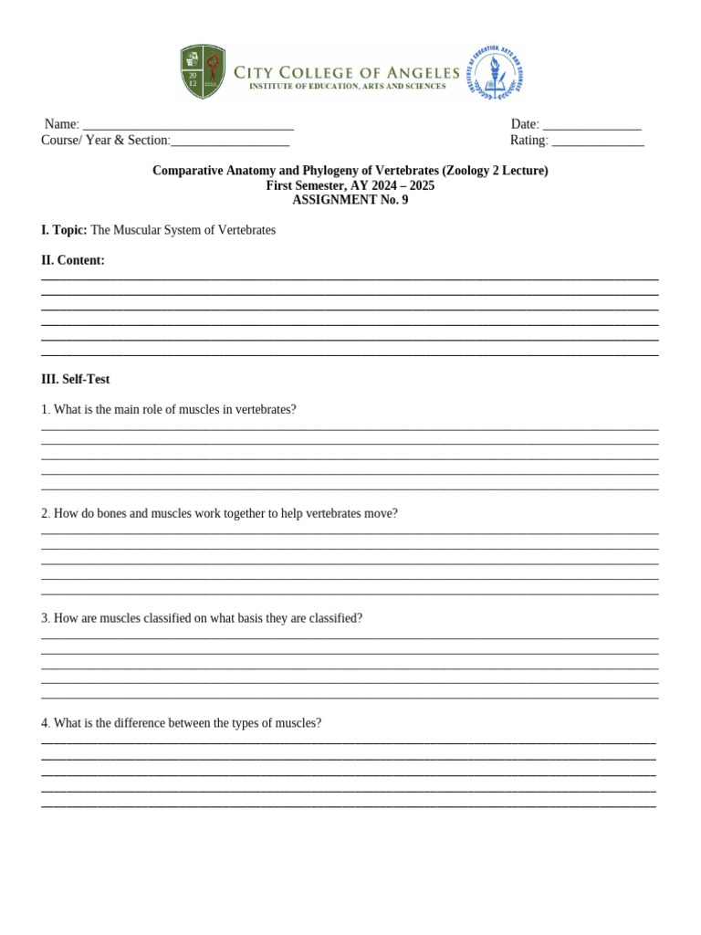 Muscular System of Vertebrates Assignment | PDF | Musculoskeletal System