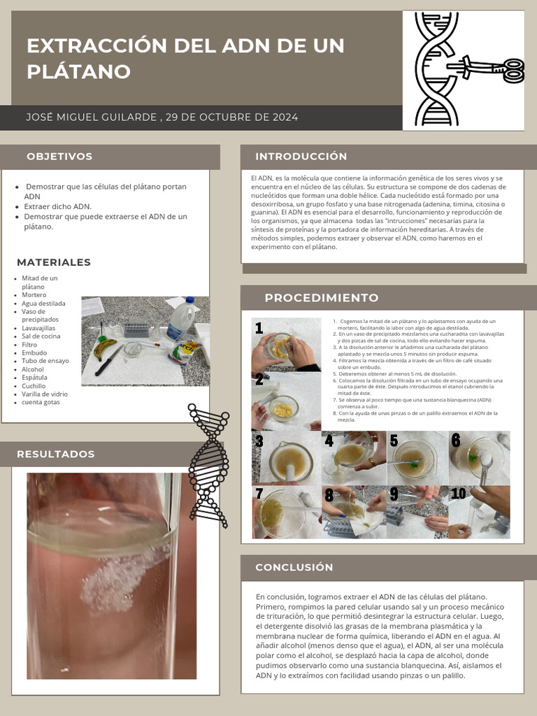 Documento Póster científico Simple Marrón.pdf | PDF | Adn | Nucleótidos