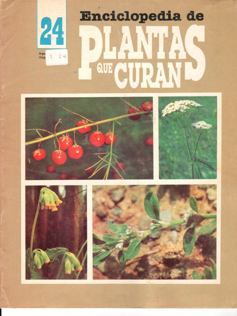 Enciclopedia de Plantas Que Curan 024 Ediliba 1987 | PDF