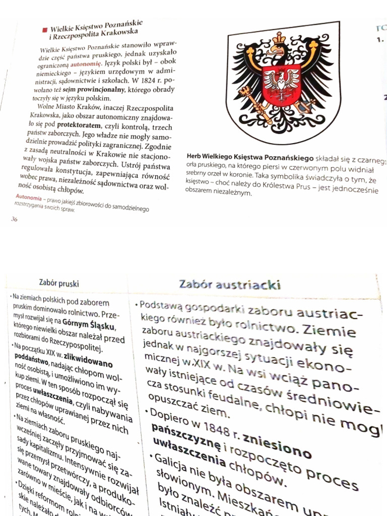 ACE Scanner - 2024 - 11 - 02 | PDF