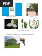 Asocie Simbolos Nacionalesde Costa Rica | PDF