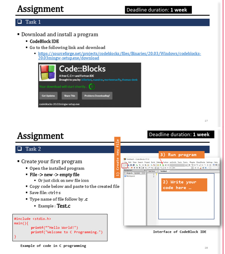 Topic1 Introduction ASSIGNMENT | PDF