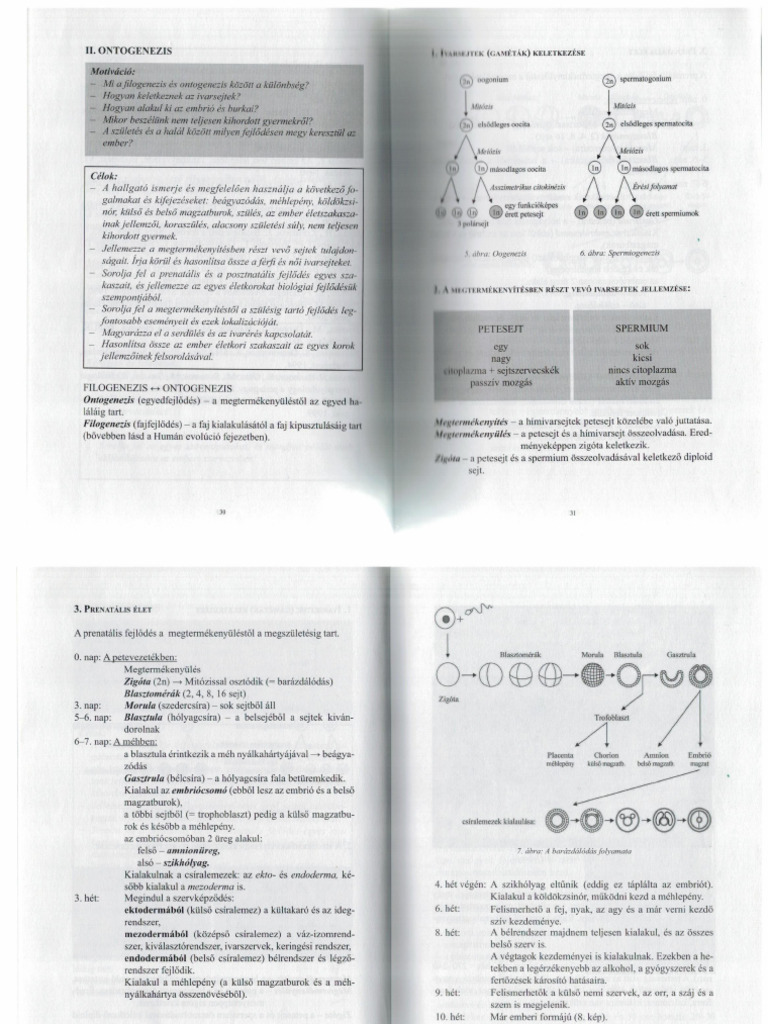 Httpse-Learning - Ujs.skpluginfile - Php54910mod Resourcecontent1ontogenézis20pdf PDF | PDF
