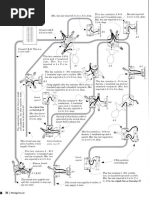 Box Fill Calculation Guide | PDF | Electrical Conductor | Volume