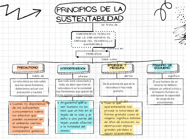 PRINCIPIOS DE LA SUSTENTABILIDAD | PDF | Naturaleza | Sustentabilidad