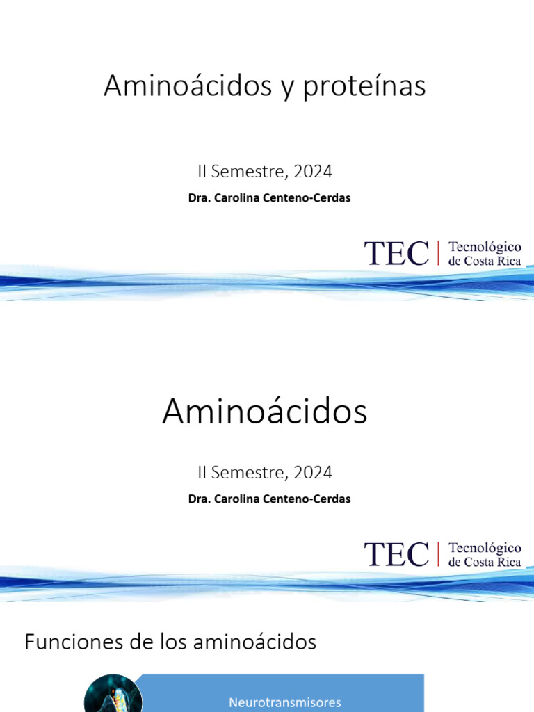 Aa Y Proteínas Ii 2024 Pdf Aminoácidos Péptido