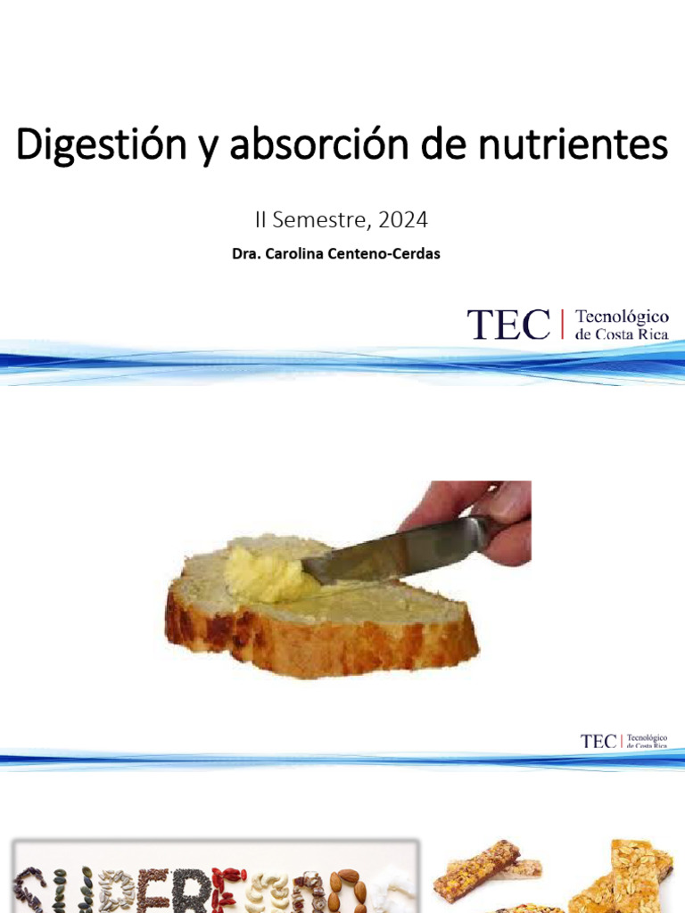 Digestión y Absorción II-2024 | PDF | Digestión | Bilis